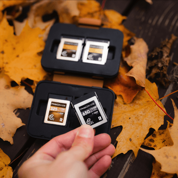Purchase Memory Cards & Memory Card Readers | ProGrade Digital