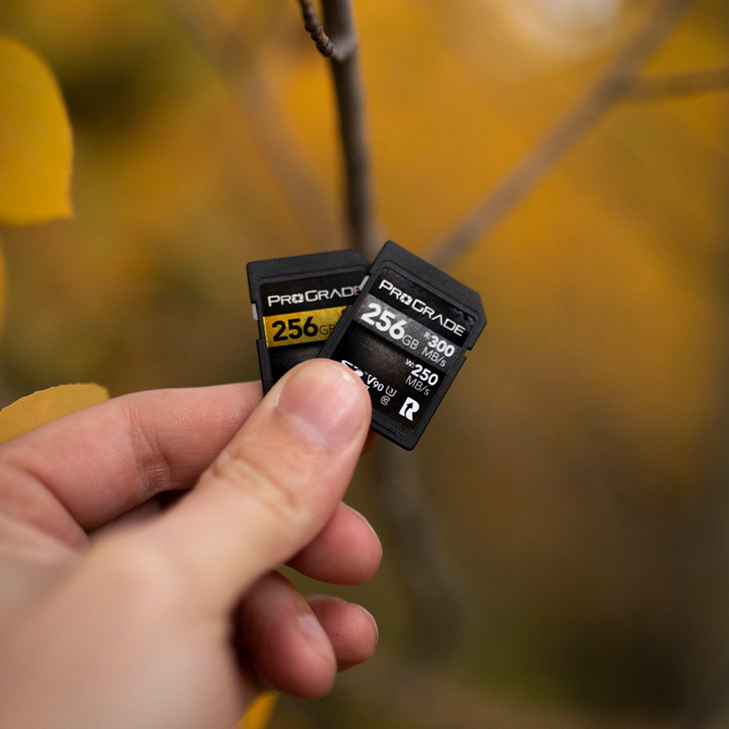 Purchase Memory Cards & Memory Card Readers | ProGrade Digital